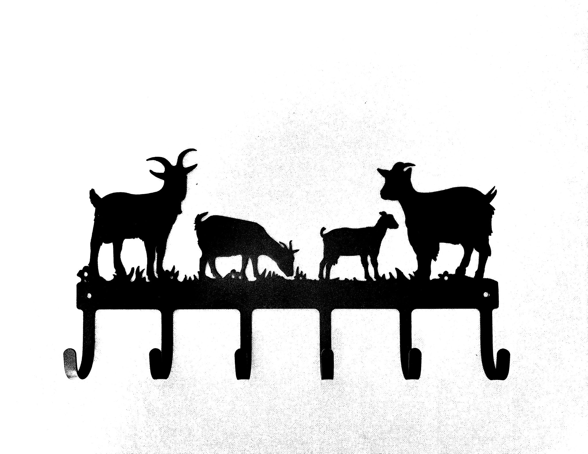 Buy Steel 6 Hook Key Holder - Goats Online (High Quality) - Spirit of ...